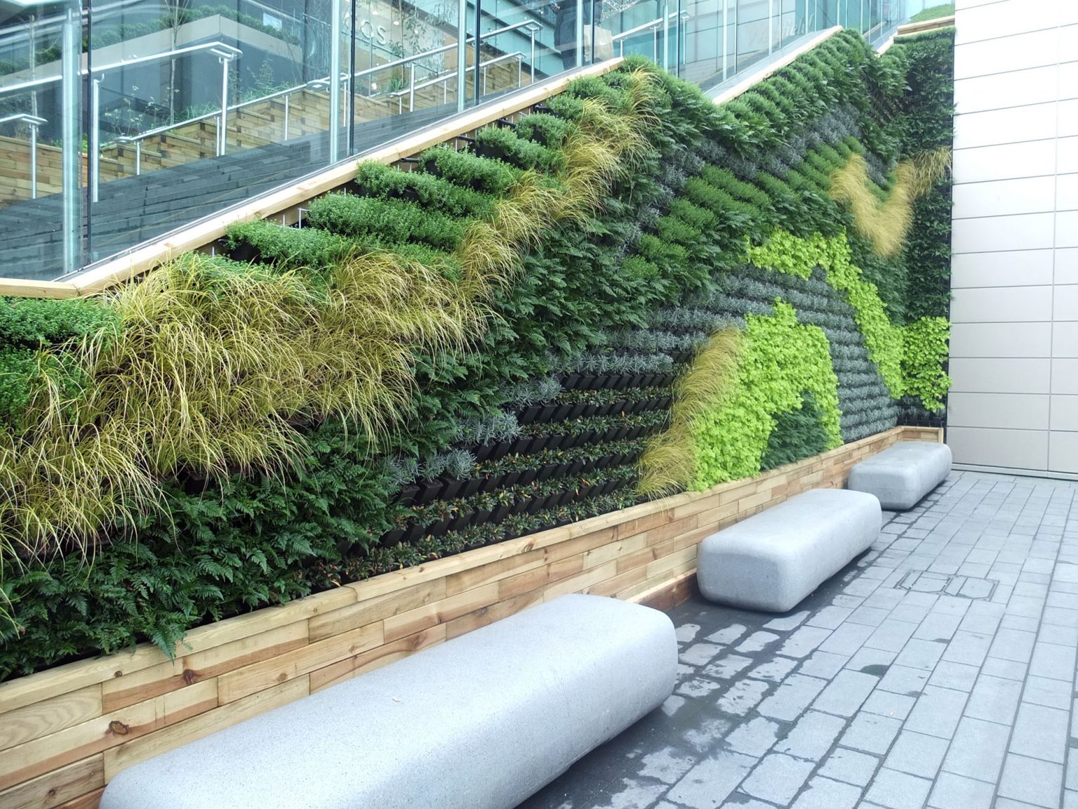 What Are Living Green Walls | Benefits & How They're Made