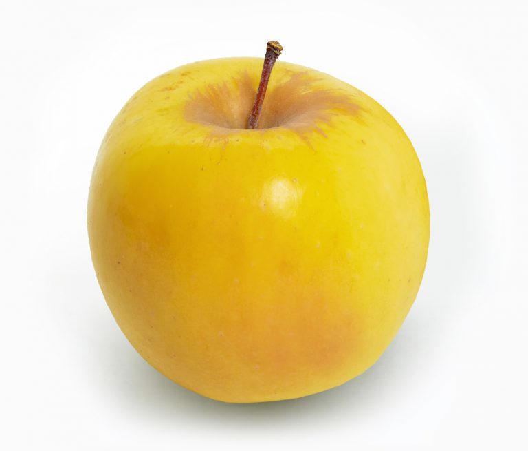 24 Yellow Apples And Their Uses
